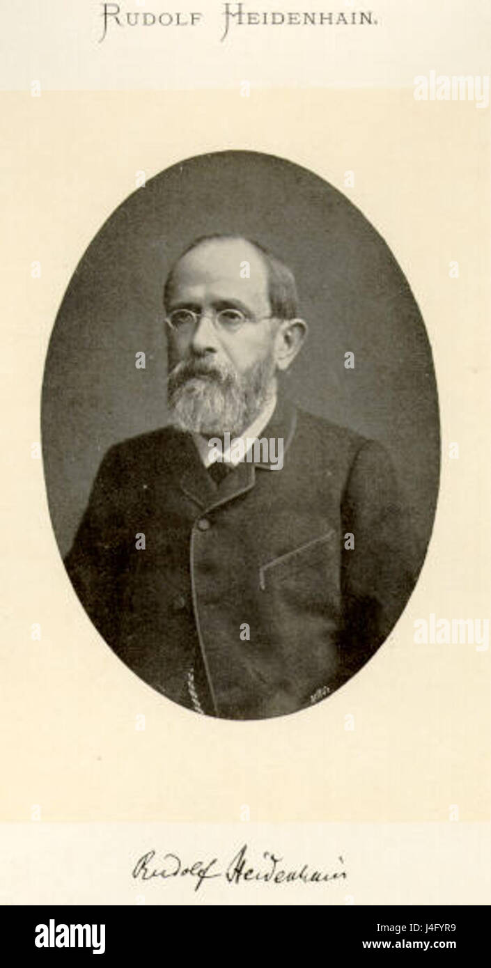Rudolf Heidenhain Pysiologe Stock Photo - Alamy