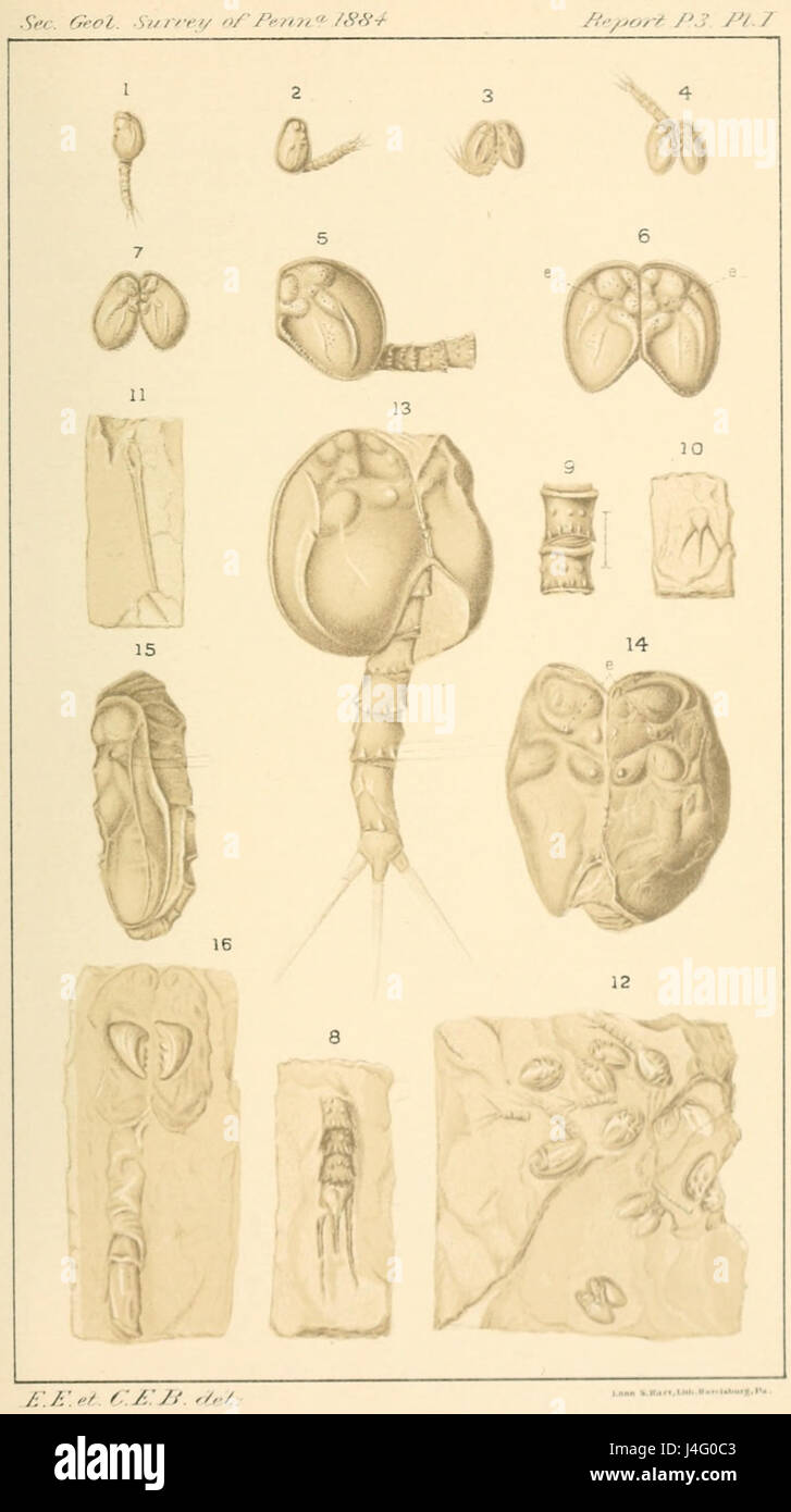 The Second Geological Survey of Pennsylvania was a comprehensive ...