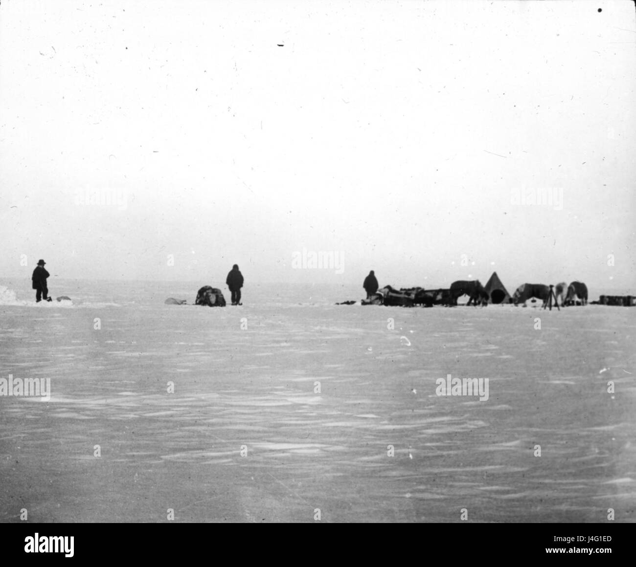 Ernest Shackleton's 'Nimrod' expedition, which took place in 1907-1909 ...