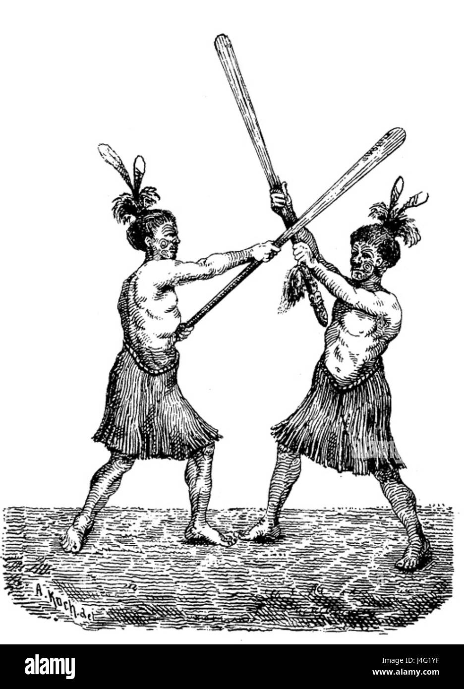 The Taiaha is a traditional Maori weapon of New Zealand. The position ...