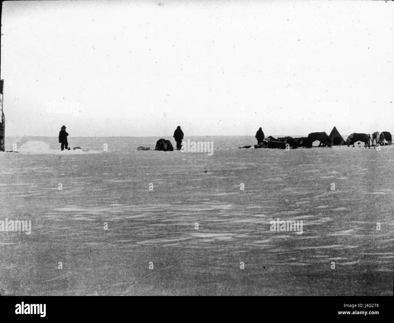 The Shackleton Nimrod expedition of 1907-1909 was a pivotal moment in ...