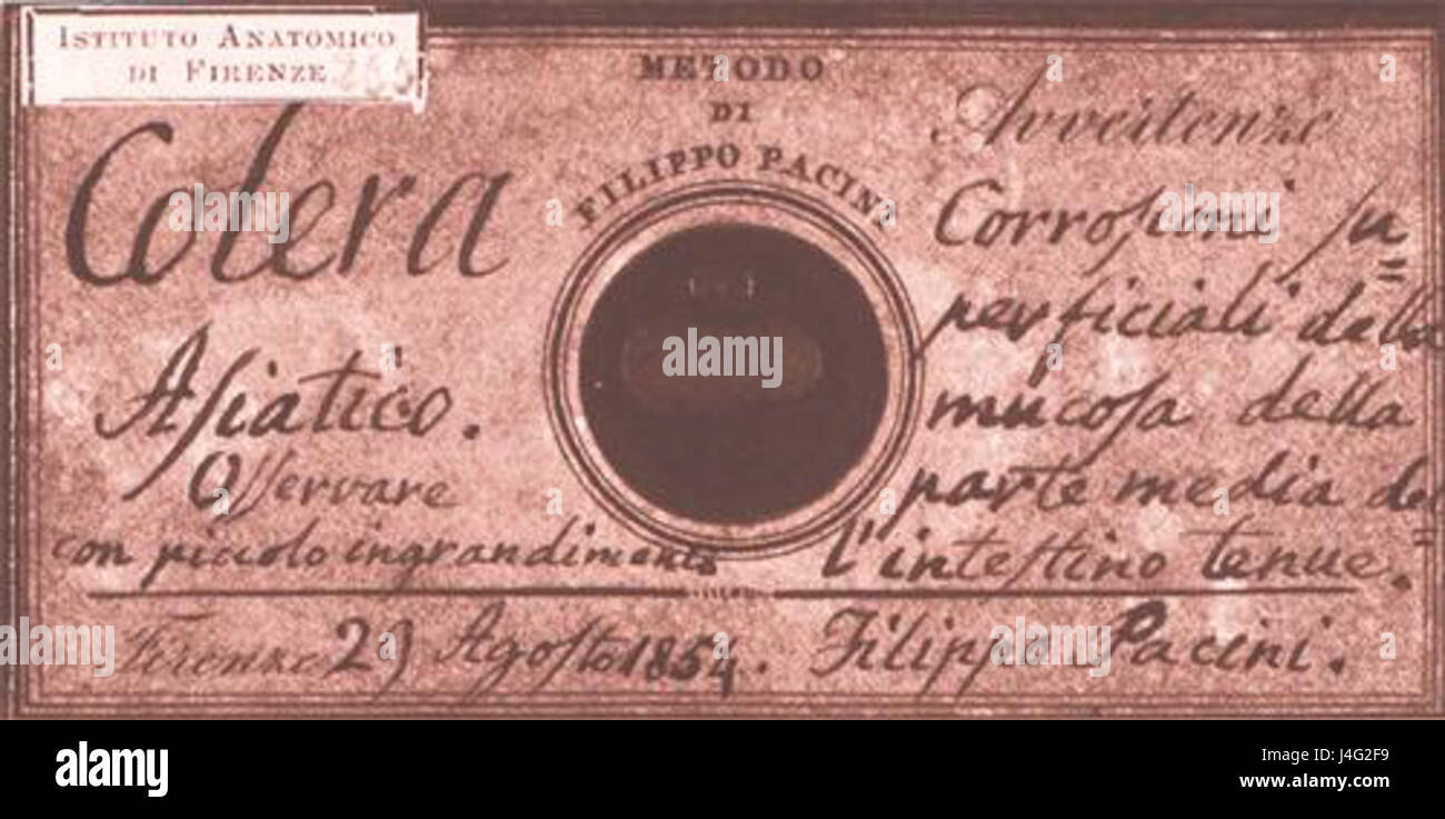 Pacini hi-res stock photography and images - Alamy