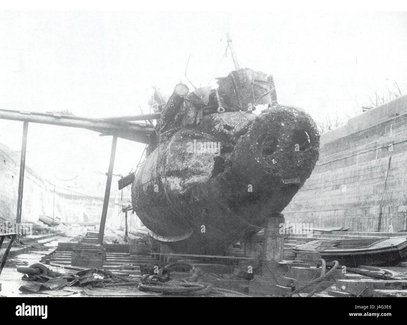 Wrack line hi-res stock photography and images - Alamy