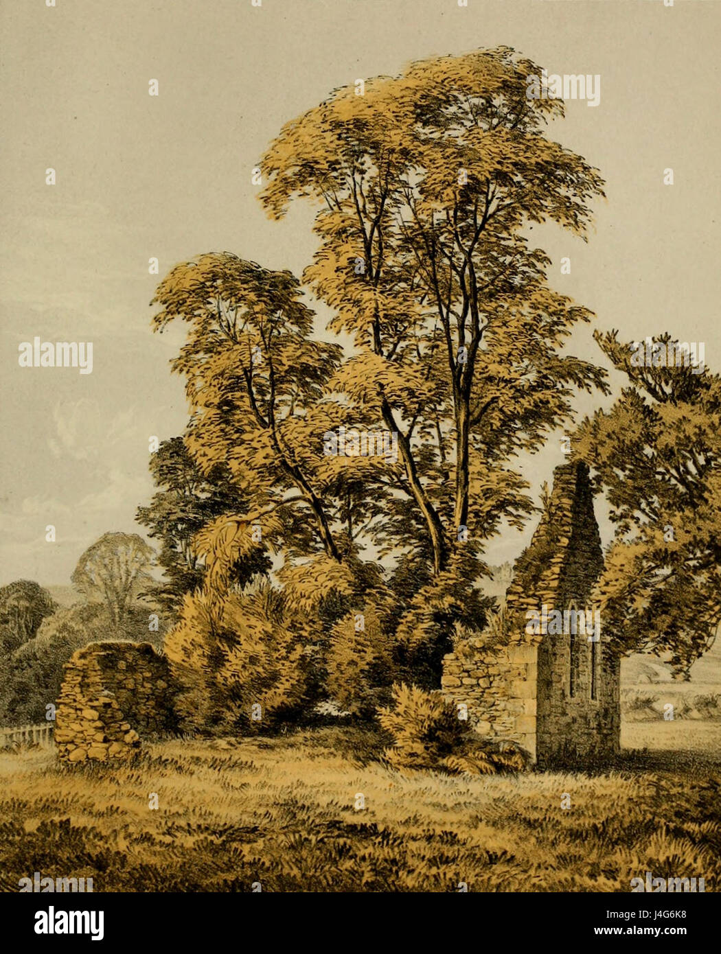 Ruinous Faslane Chapel Stock Photo - Alamy