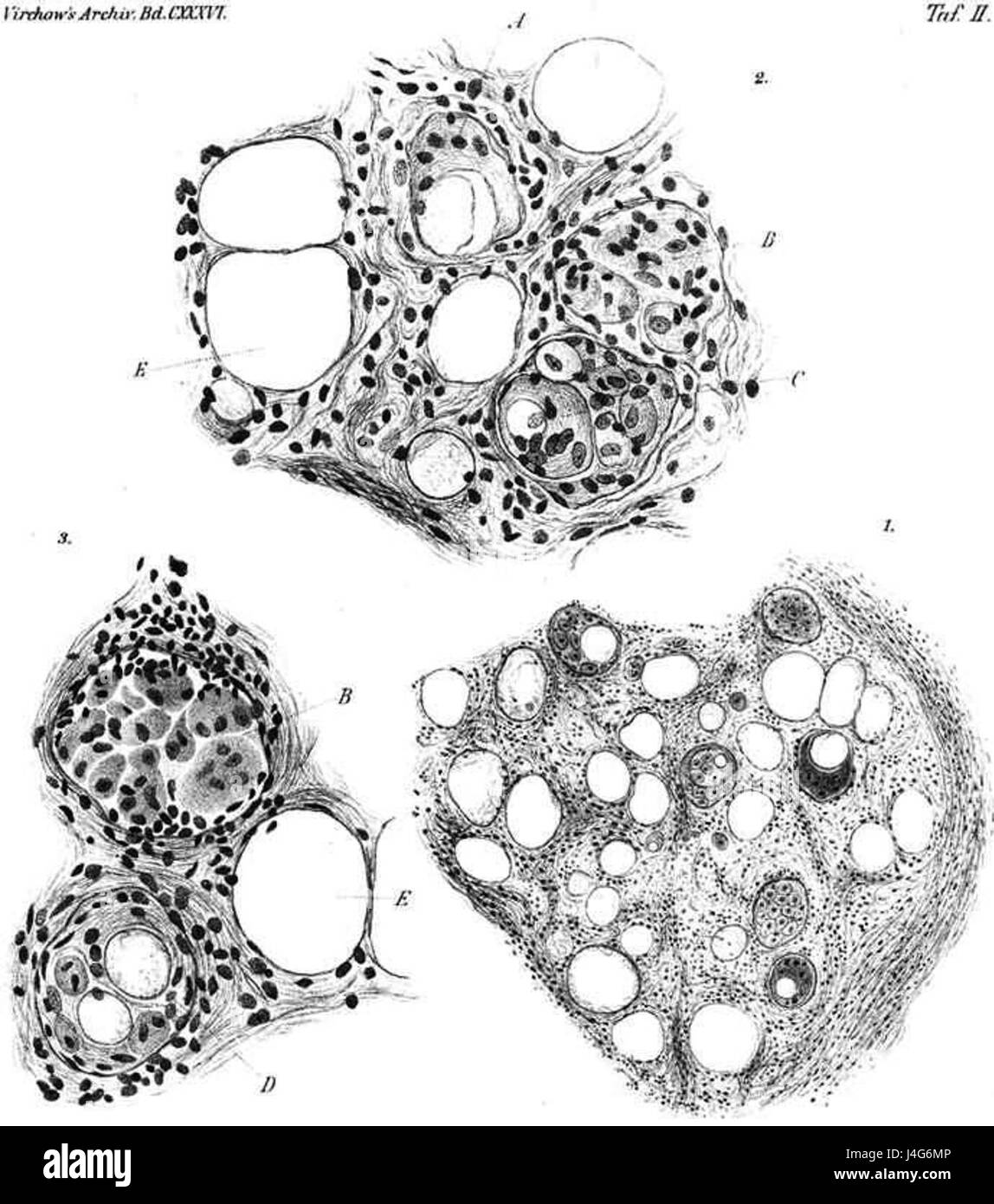 Makai hi-res stock photography and images - Alamy