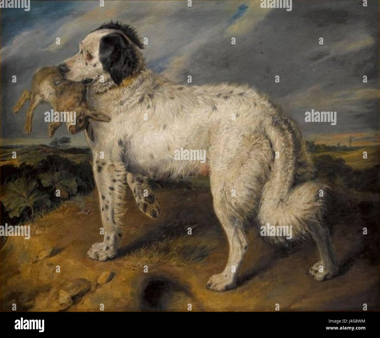 Sir Edwin Henry Landseer The Champion; Venus, a Landseer Newfoundland ...