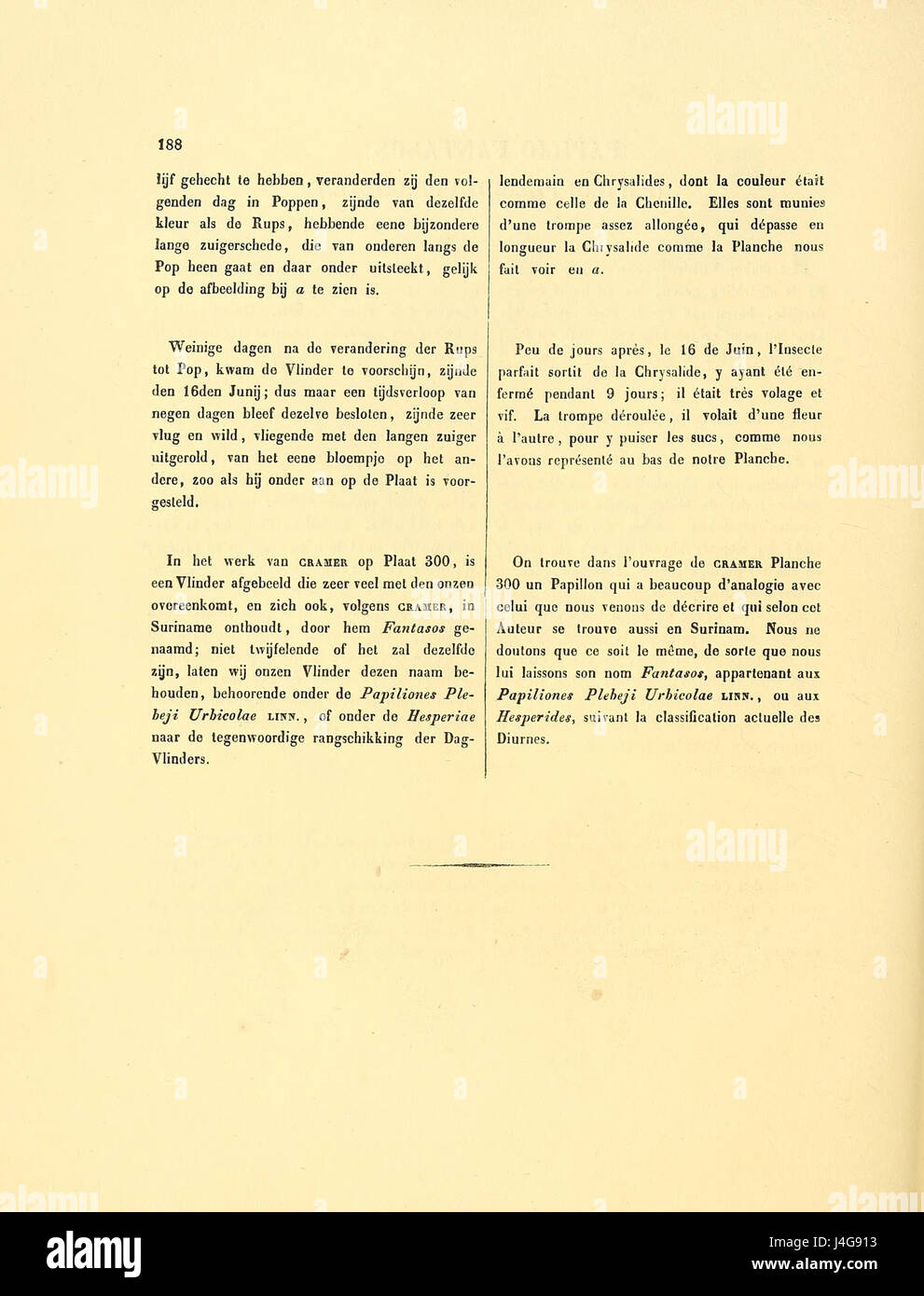 Vettius fantasos hi-res stock photography and images - Alamy