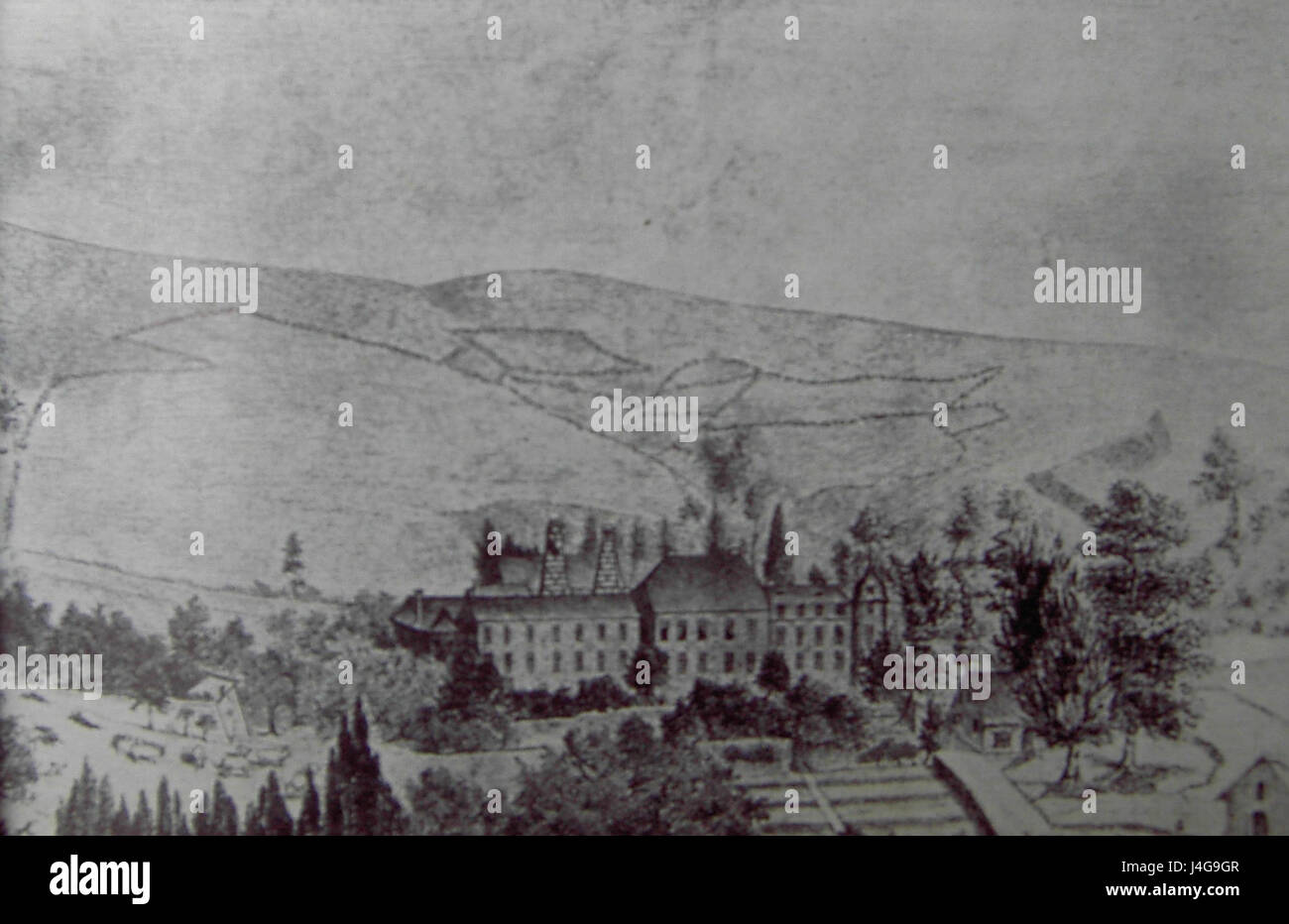 Steinfeld is a historical location in Germany, known for its cultural ...