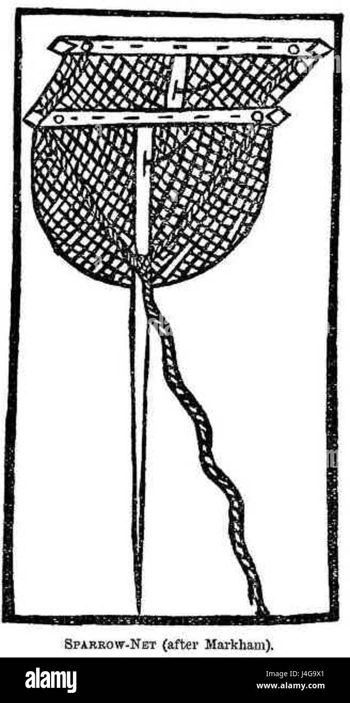 Animal tracking sensor hi-res stock photography and images - Alamy