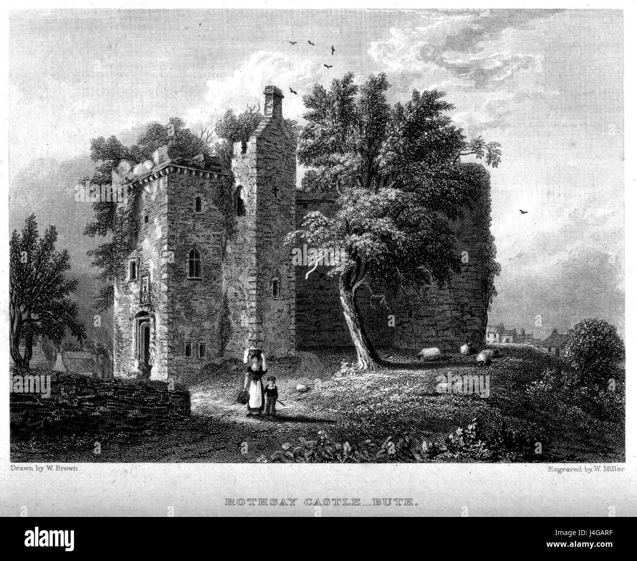 Rothsay castle hi-res stock photography and images - Alamy