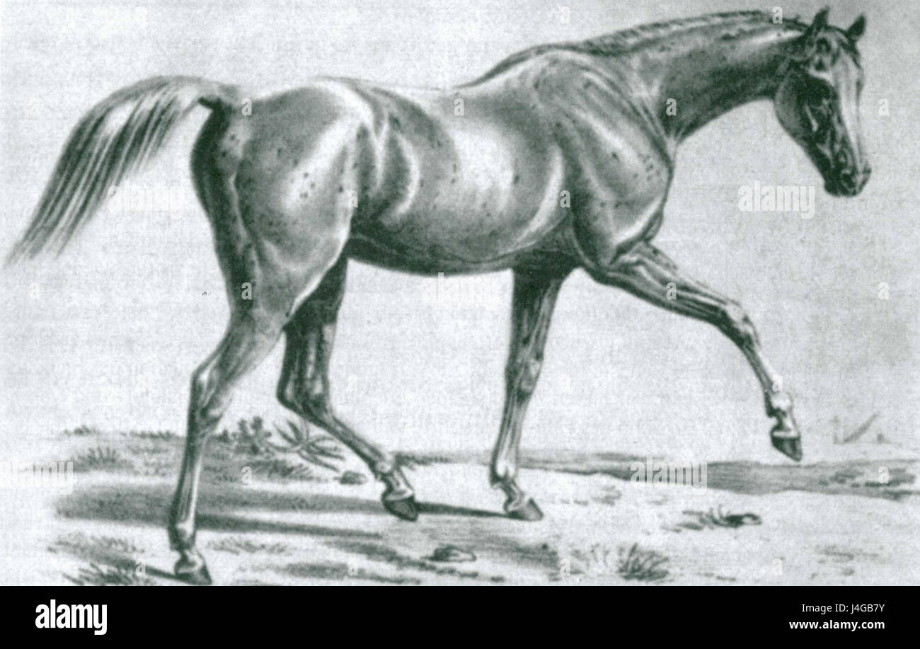 Saady III 0002 Stock Photo - Alamy