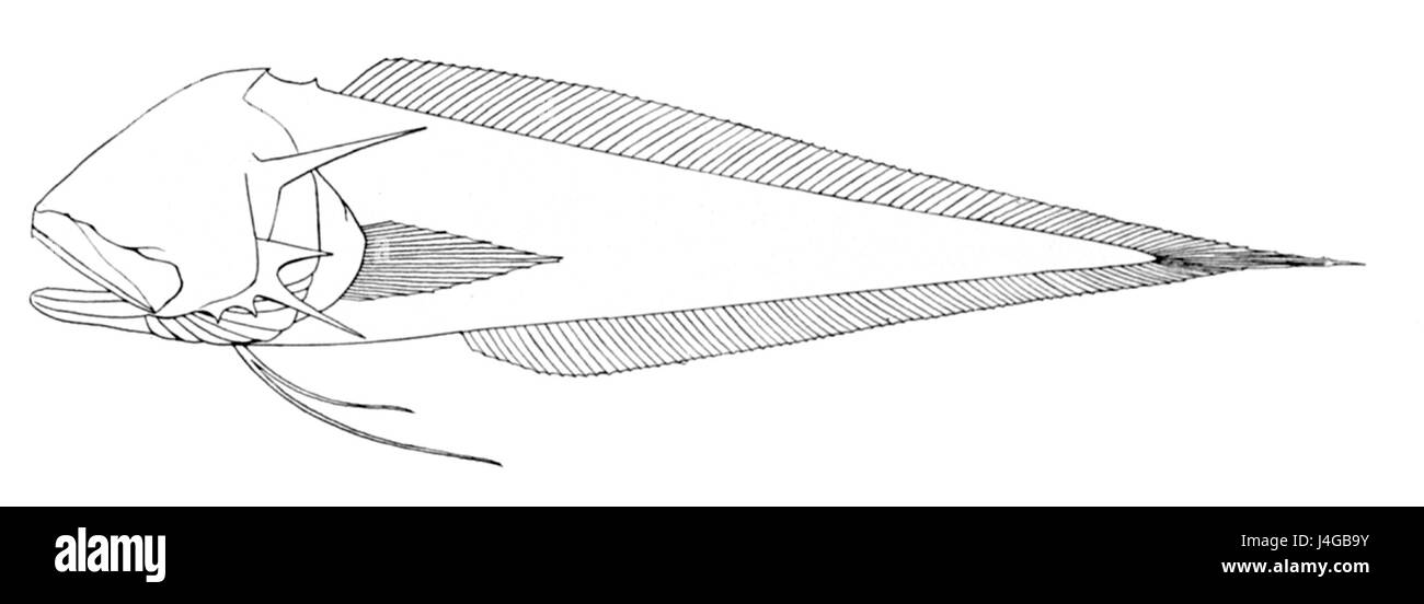 Importance of scientific documentation Cut Out Stock Images & Pictures ...