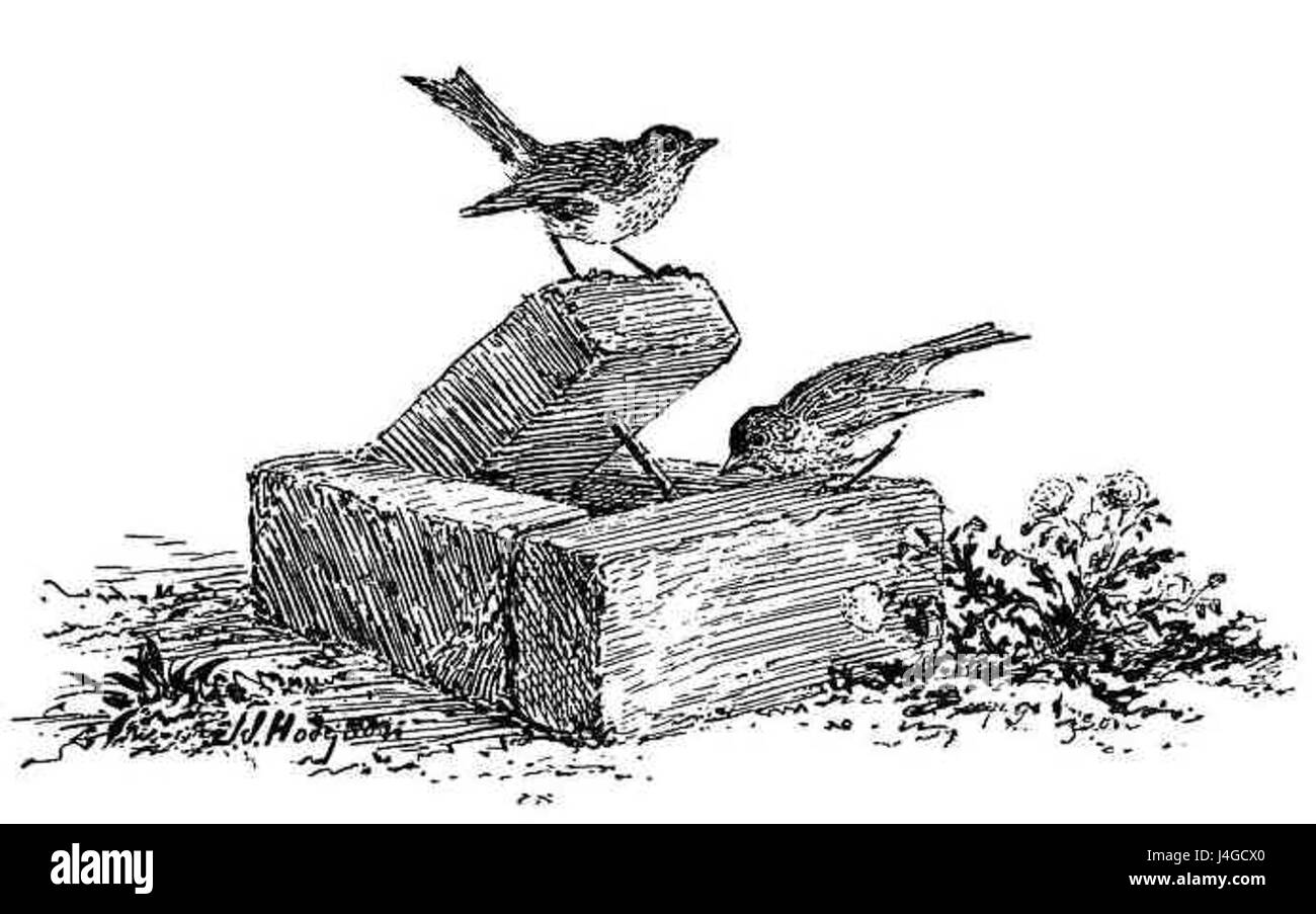 Similar small Cut Out Stock Images & Pictures - Alamy