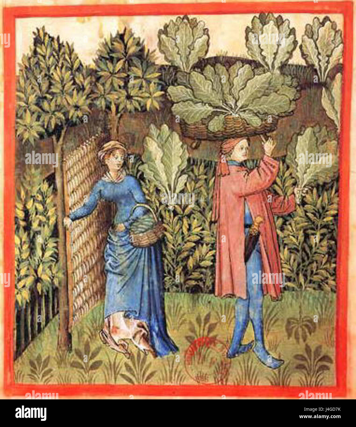 The 'Tacuinum Sanitatis' is a 14th-century manuscript that discusses ...