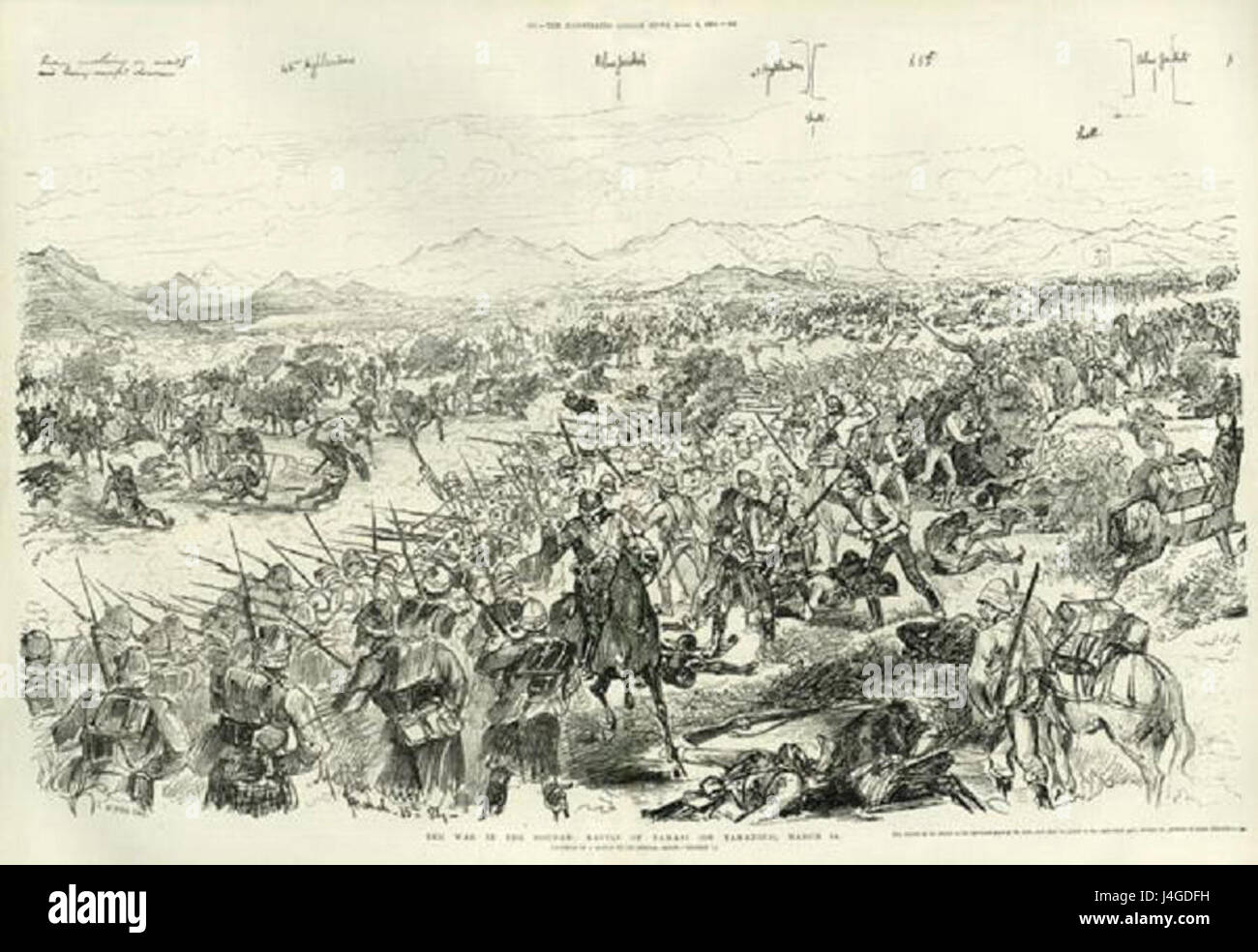 Tamai hi-res stock photography and images - Alamy