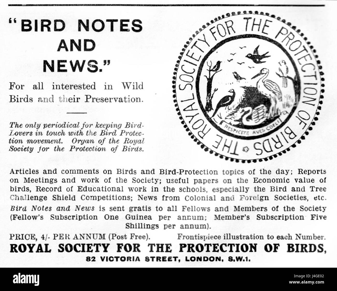 An advertisement from the Royal Society for the Protection of Birds ...