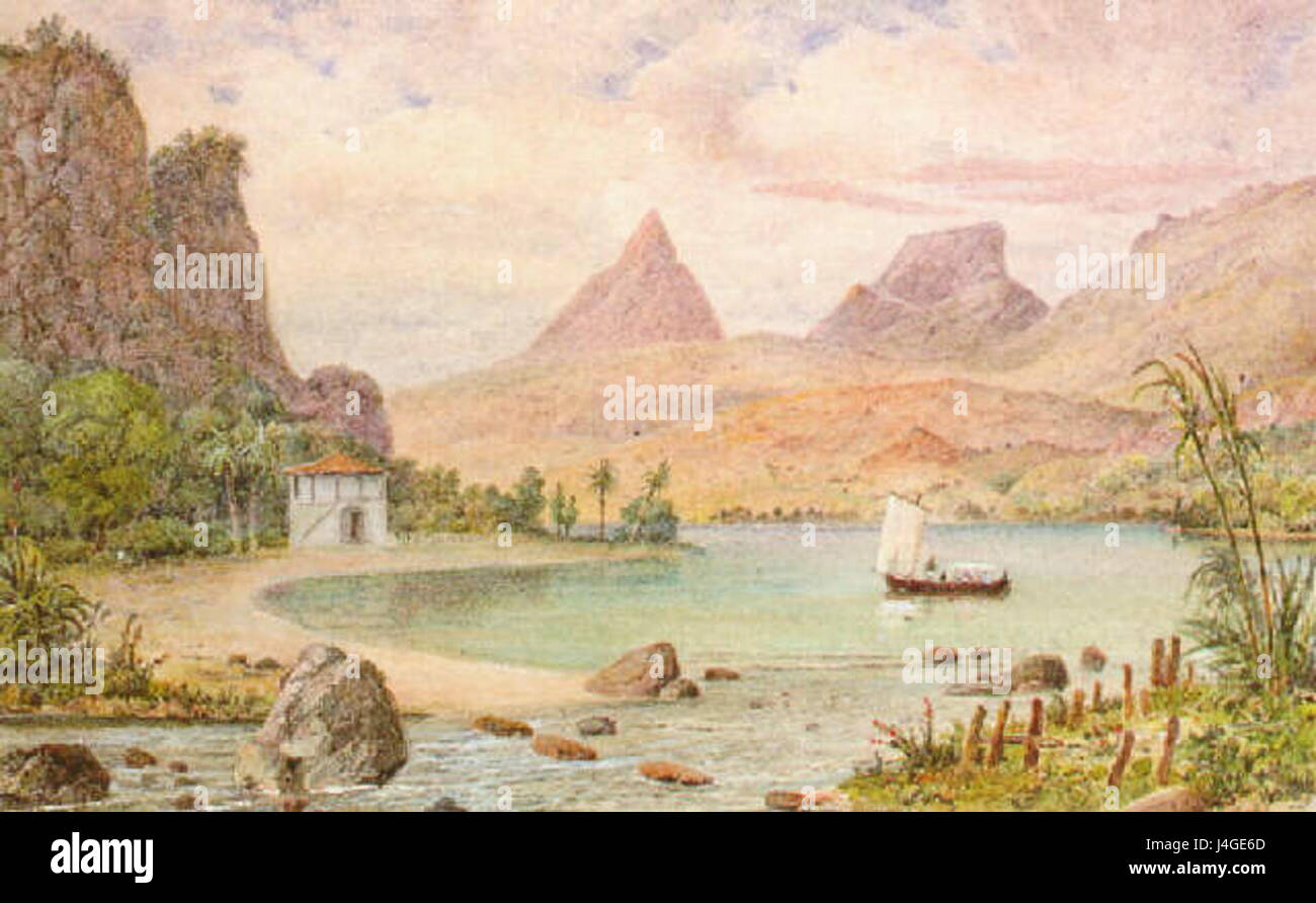 Drawing sartorius hi-res stock photography and images - Alamy