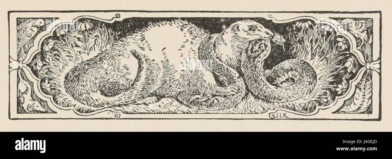 This illustration is the title page artwork for 'Rikki Tikki Tavi,' a ...