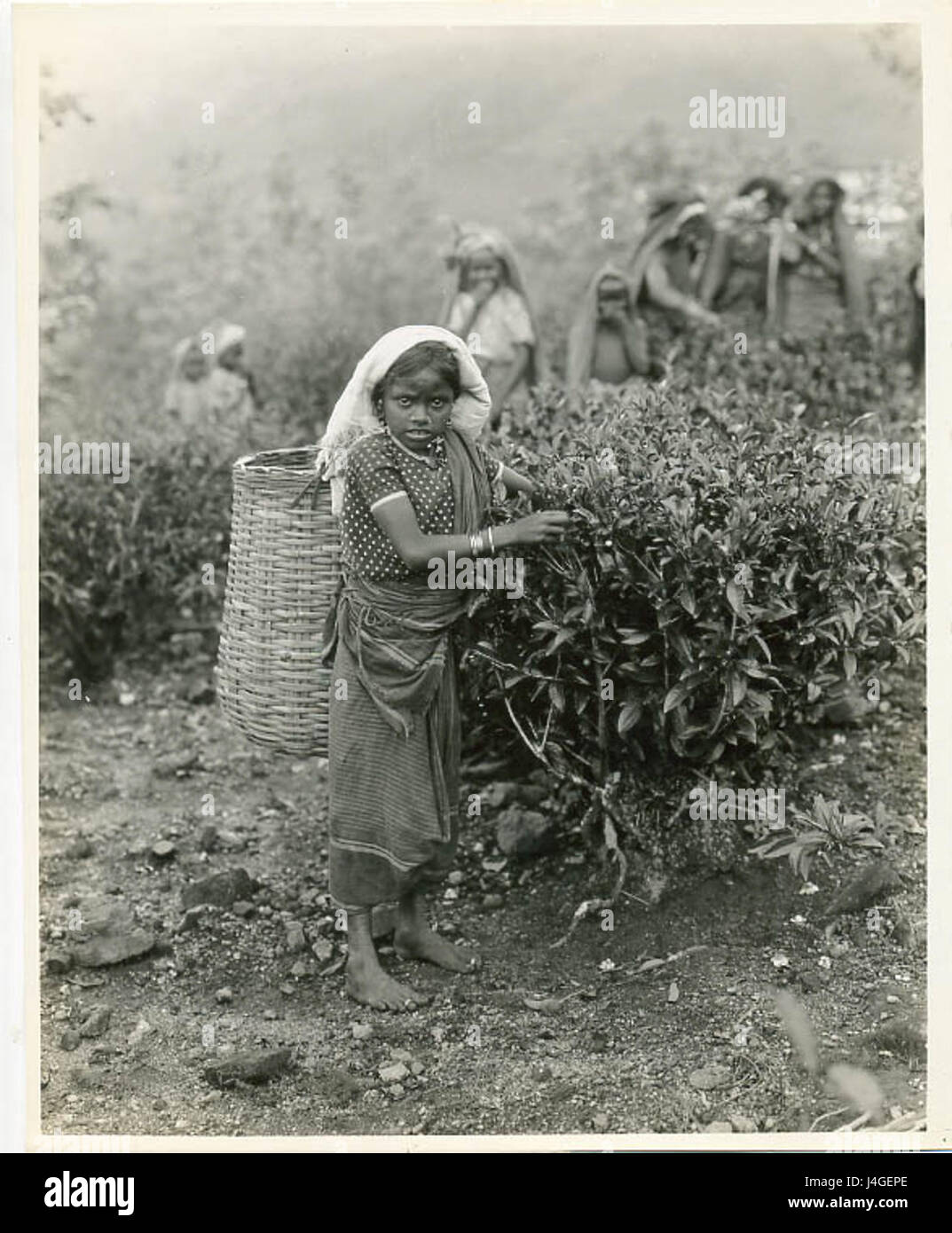 This black-and-white photograph from the 1930s captures the labor of ...