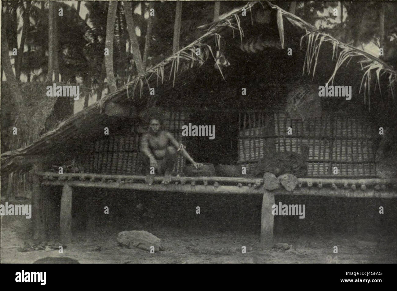 This image from the Bishop Museum's 'Memoirs' series shows a ...