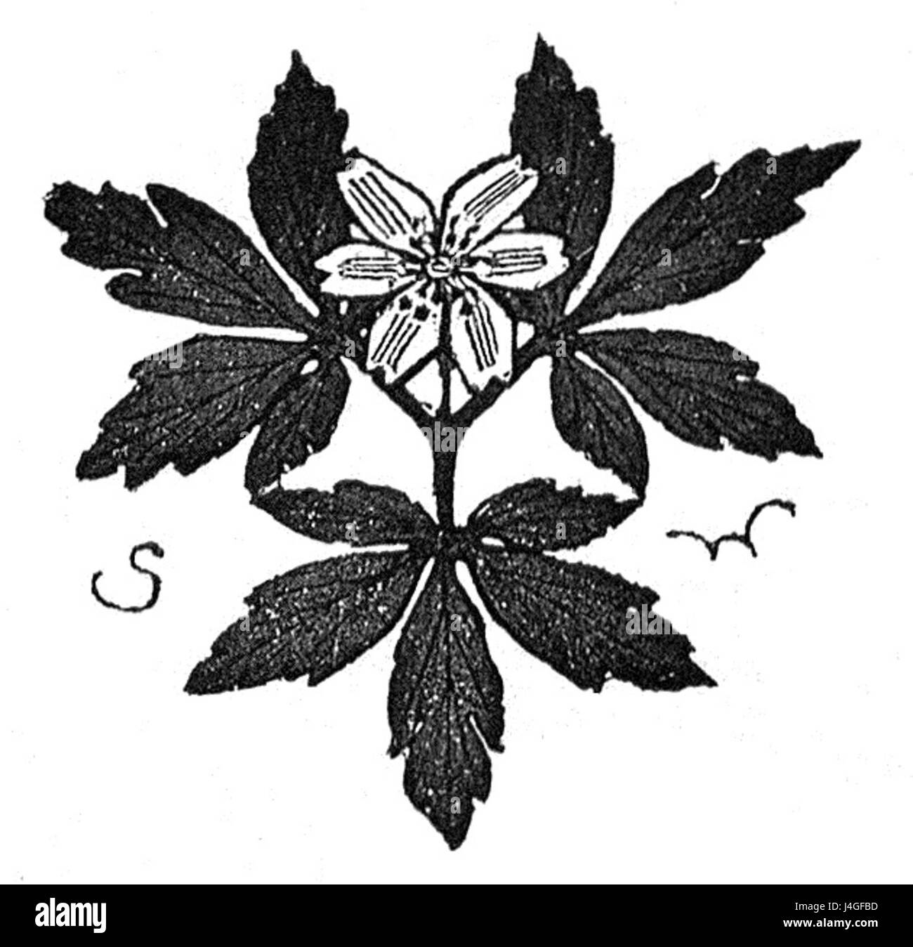 Lucjan Rydel's work 'Poezye,' a collection of poetry, is known for its ...