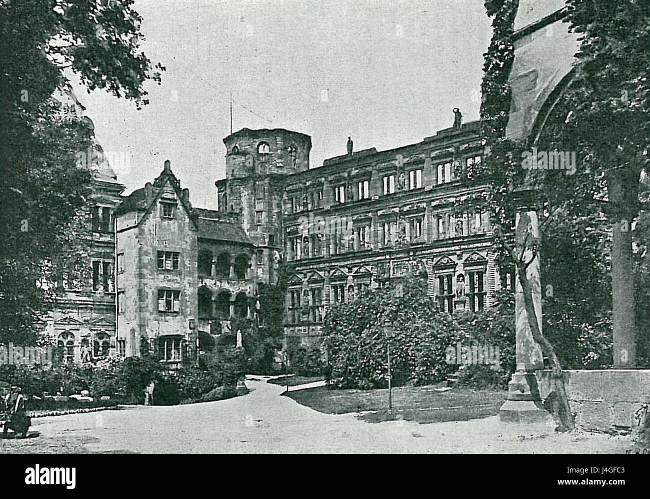 Max wolf hi-res stock photography and images - Alamy