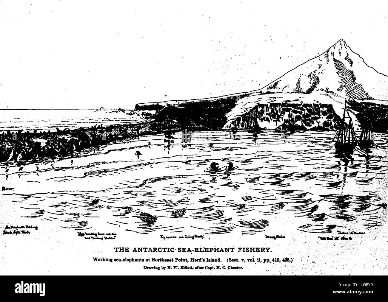 Fishery trade Black and White Stock Photos & Images - Alamy