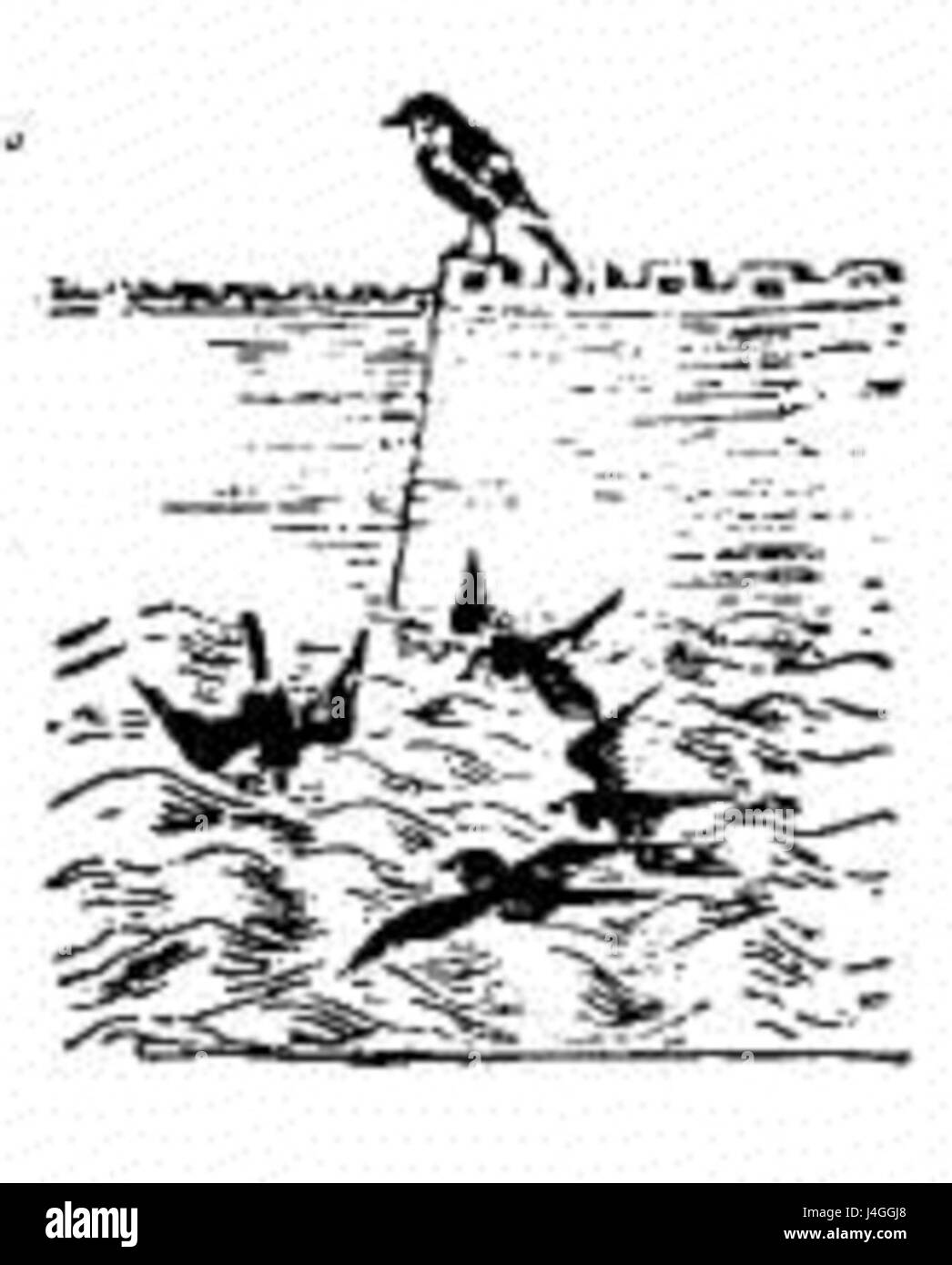 The title 'Tbt 1311' could refer to a specific event, document, or item ...