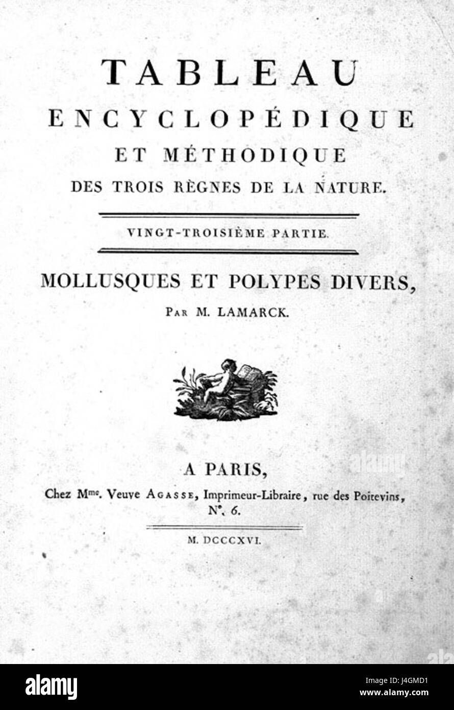 A comprehensive and organized visual representation or chart, typically ...