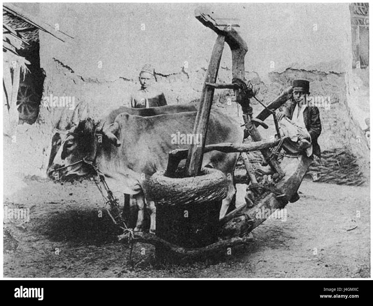 An image of a Teli oil press, a traditional tool used in the extraction ...