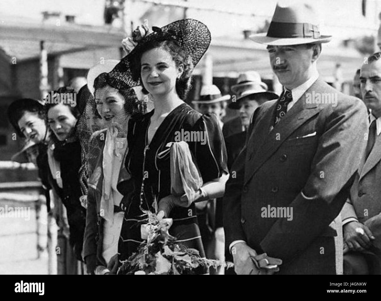 Zog hi-res stock photography and images - Alamy