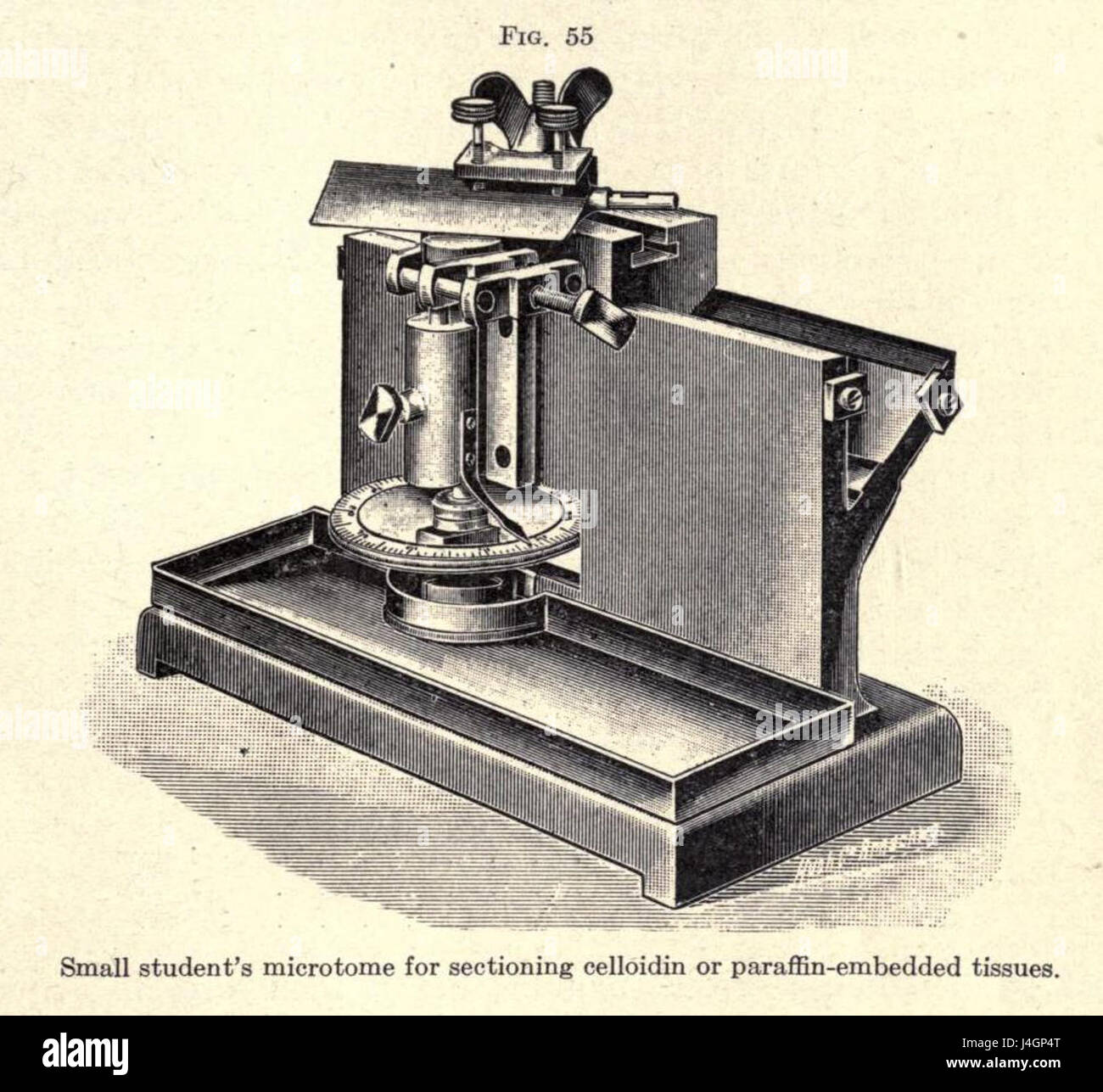 Microtome sectioning hi-res stock photography and images - Alamy