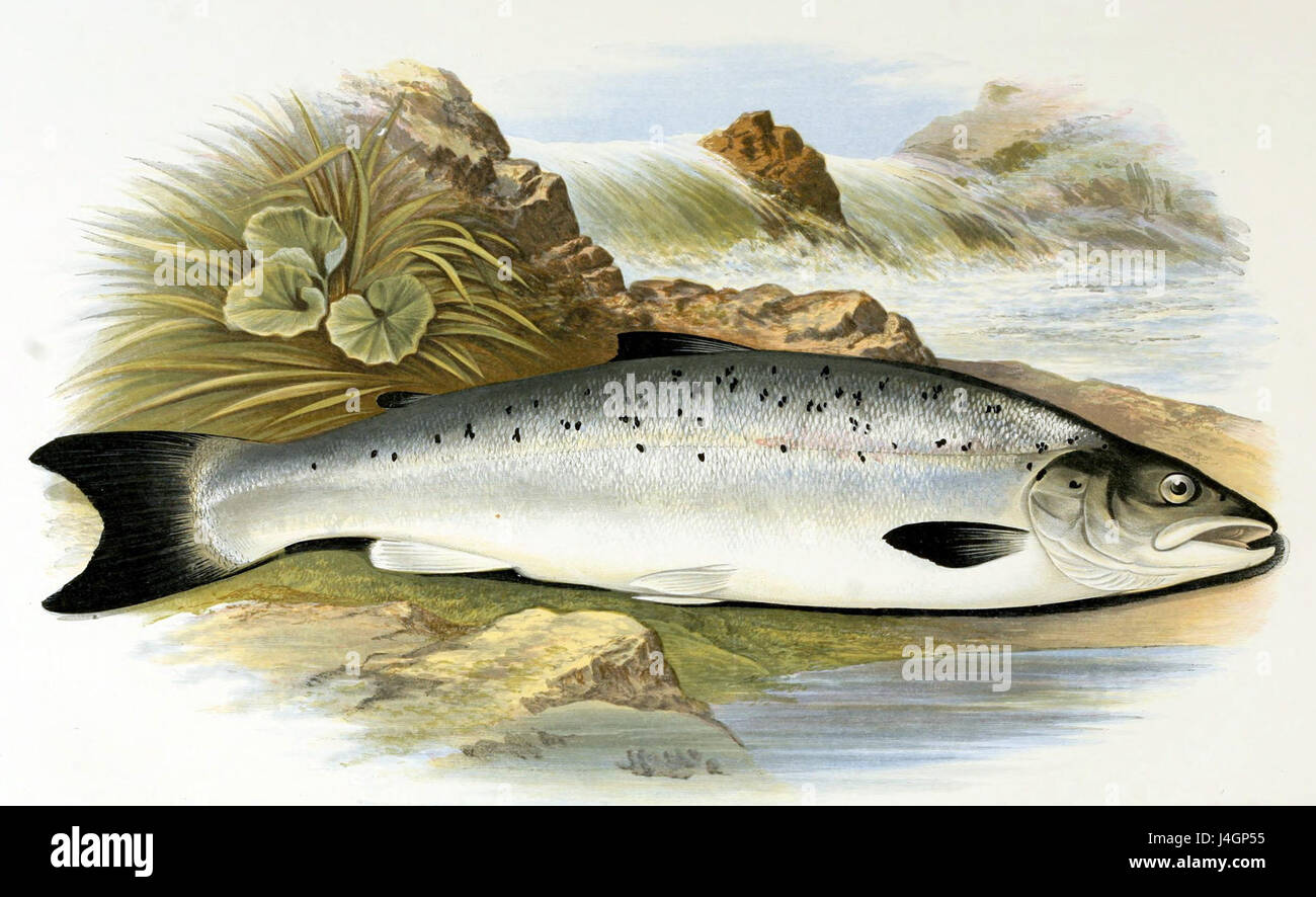 Salmo Map High Resolution Stock Photography and Images - Alamy