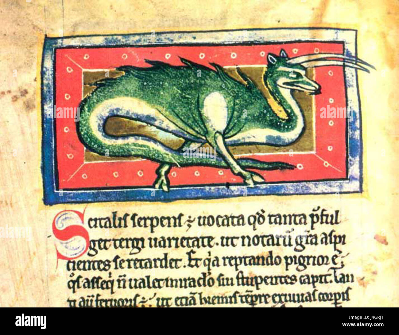 Scitalis hi-res stock photography and images - Alamy