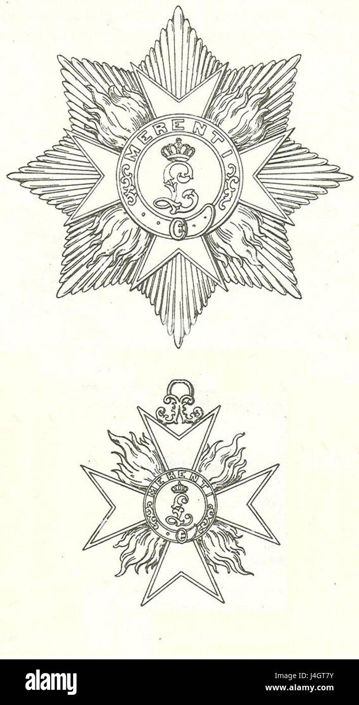 The 'Ster en juweel van de Militaire Orde van Verdienste van Beieren ...
