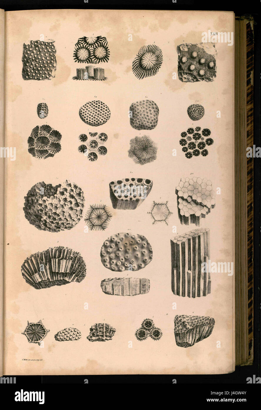 Tafel 024 refers to a specific image or object, possibly a piece of art or historical document ...