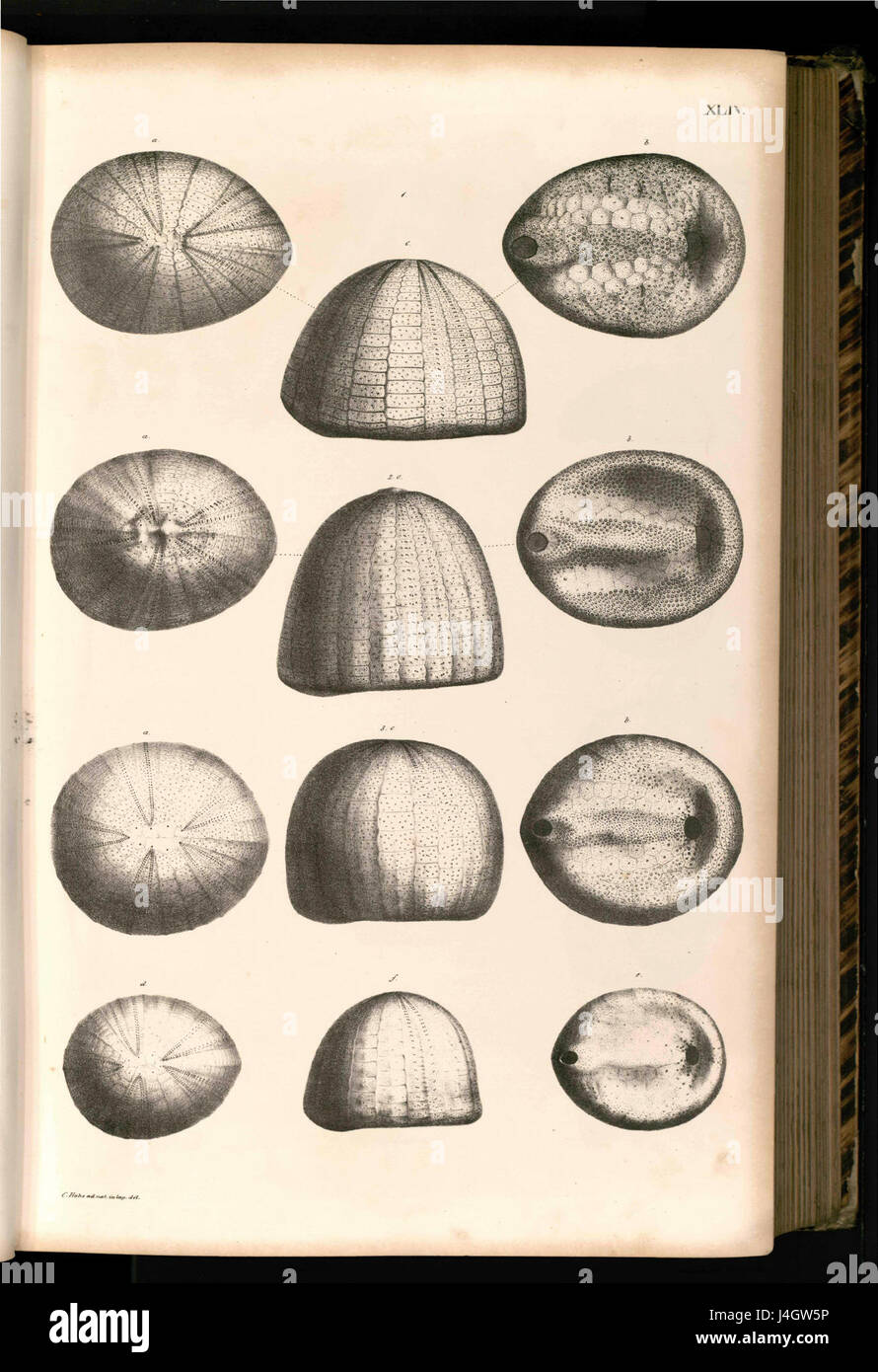 Tafel 044 is a German-made wooden table, designed for functional use ...