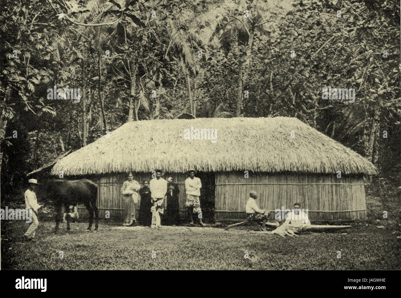 The Tahitian Bamboo House, circa 1902, represents traditional ...