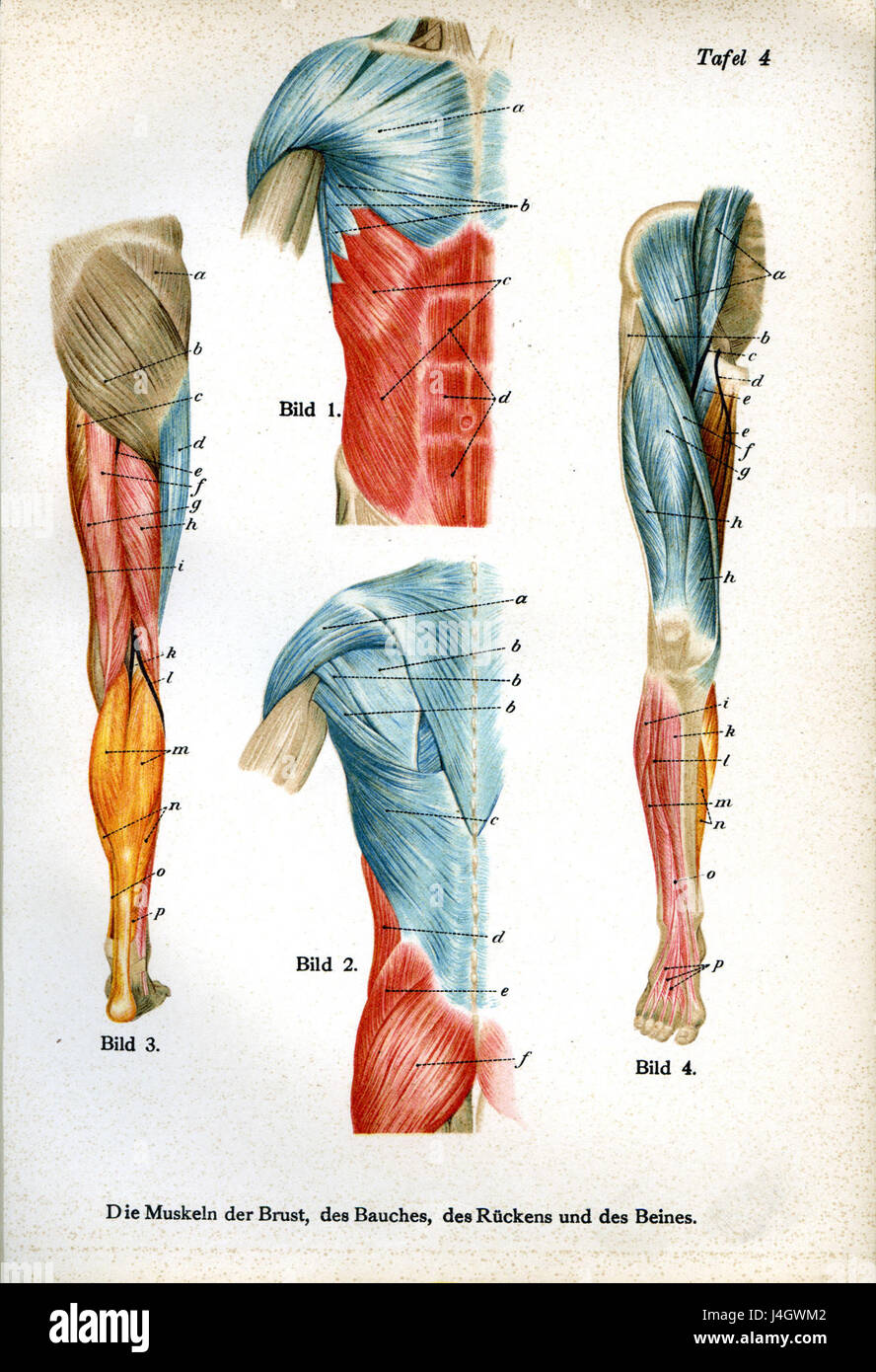 This title refers to a specific work or image attributed to Siebert, identified as 'Siebert 05 ...