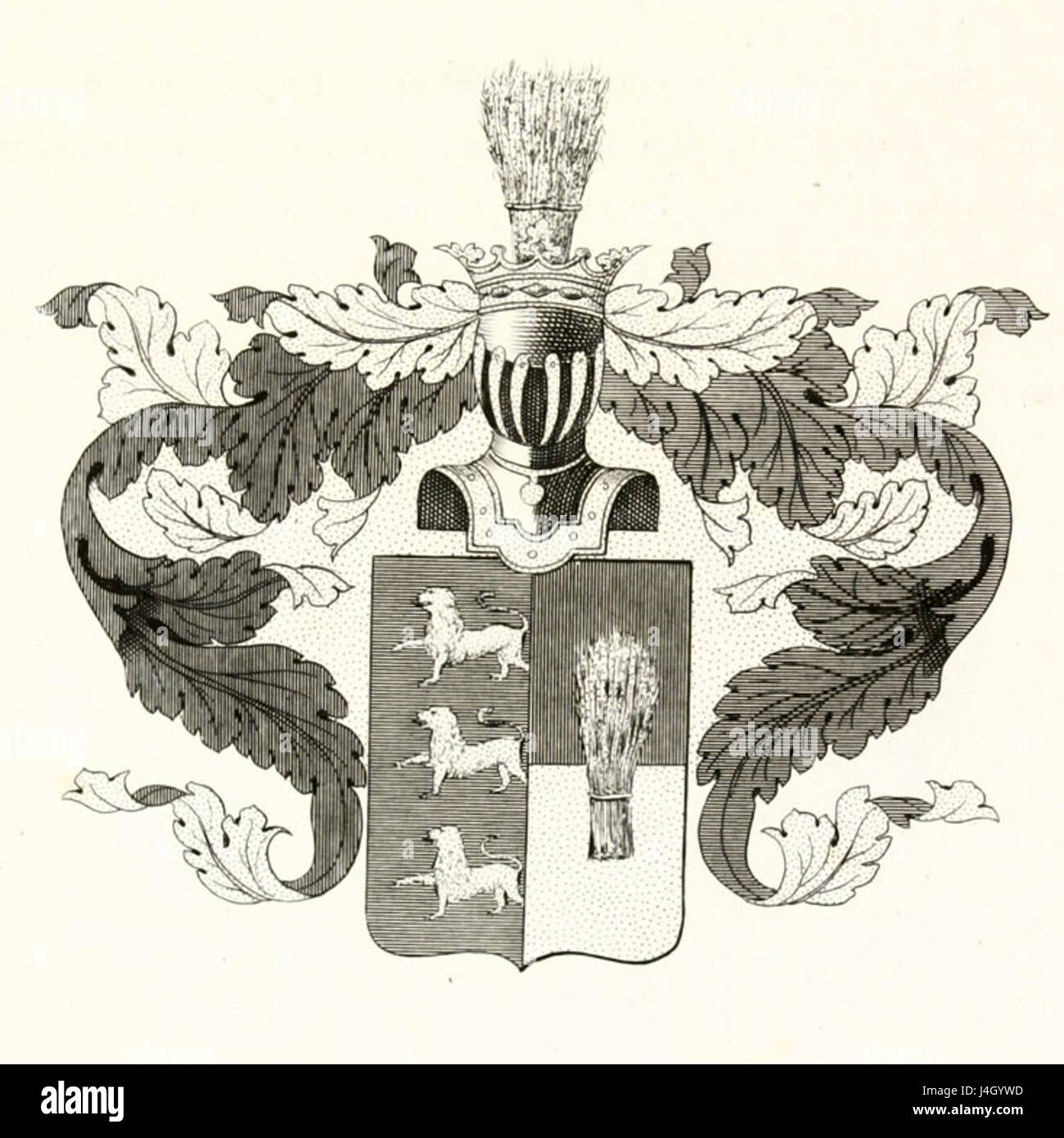 RU COA Strukov VI, 66 Stock Photo - Alamy