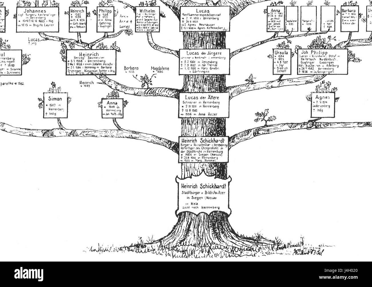 This woodcut (BVuHSi03) by Schickhardt depicts a family tree ...