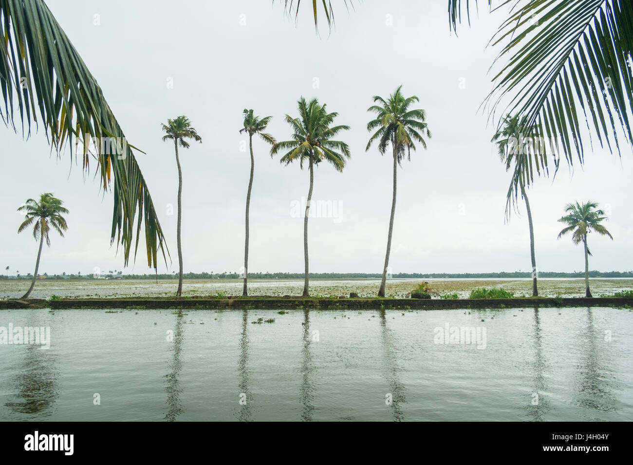 Alleppey also known as Alappuzha in Kerala, India is a gorgeous ...