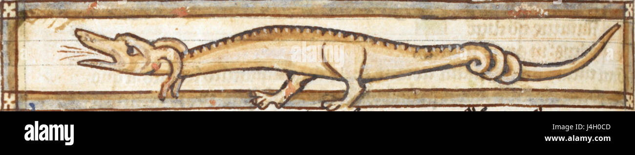 Siren mythology hi-res stock photography and images - Alamy