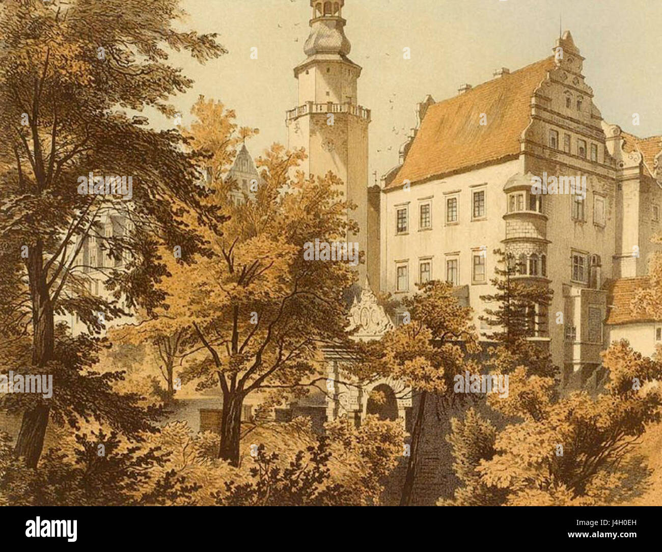 Oels High Resolution Stock Photography and Images - Alamy