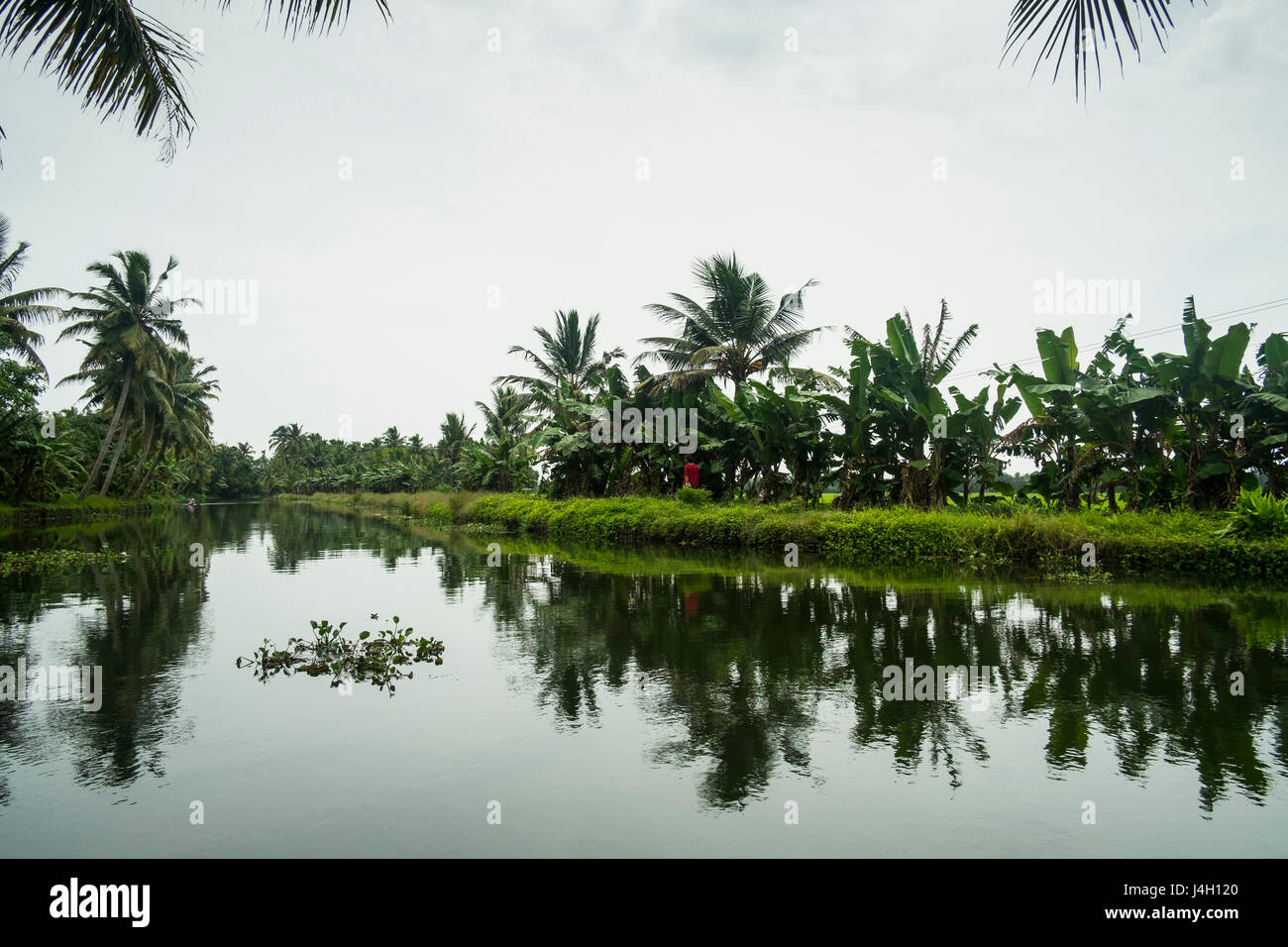Alleppey also known as Alappuzha in Kerala, India is a gorgeous ...