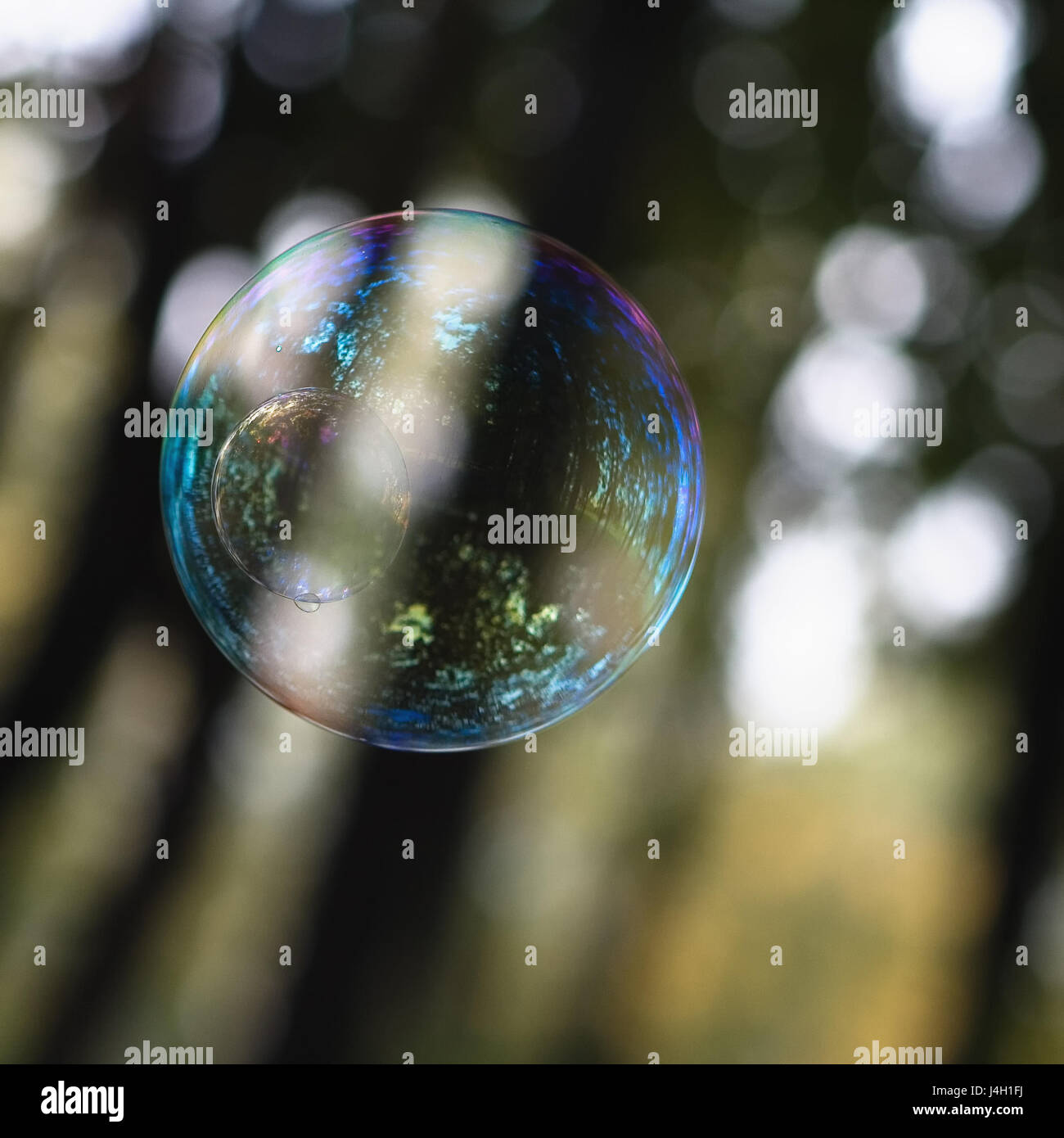 A beautiful soap bubble with reflections and overflows. Close-up Stock ...