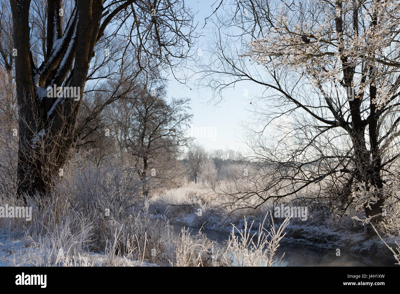 The Brenz river near Herbrechtingen, Germany in winter Stock Photo - Alamy