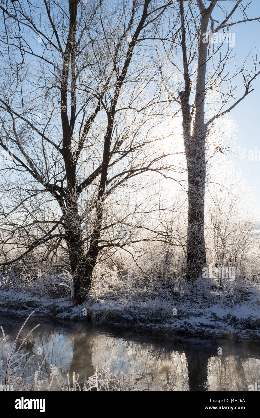 The Brenz river near Herbrechtingen, Germany in winter Stock Photo - Alamy