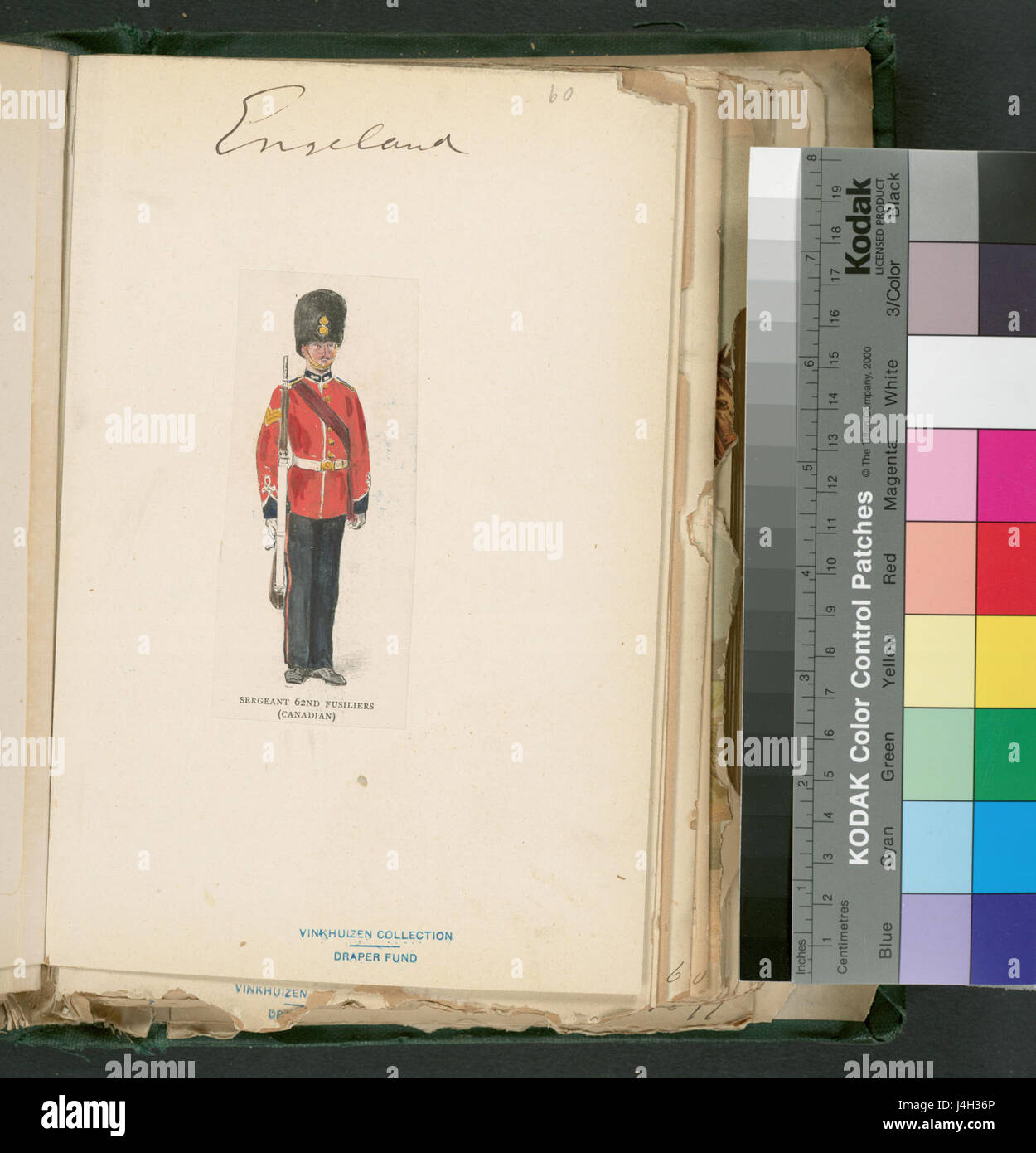 A portrait of a sergeant from the 62nd Fusiliers (Canadian), depicting ...