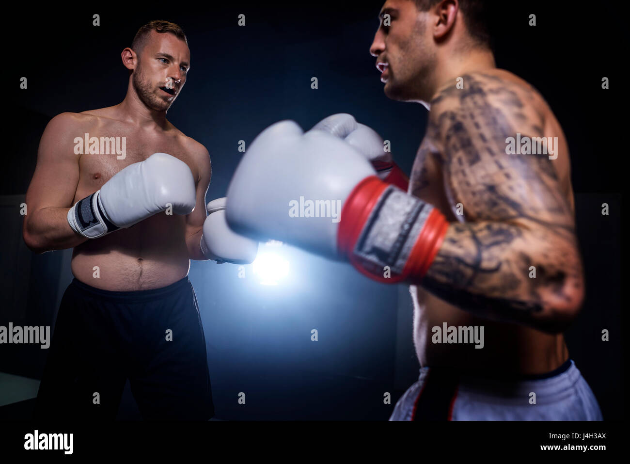 Boxer training with sparring partner Stock Photo - Alamy